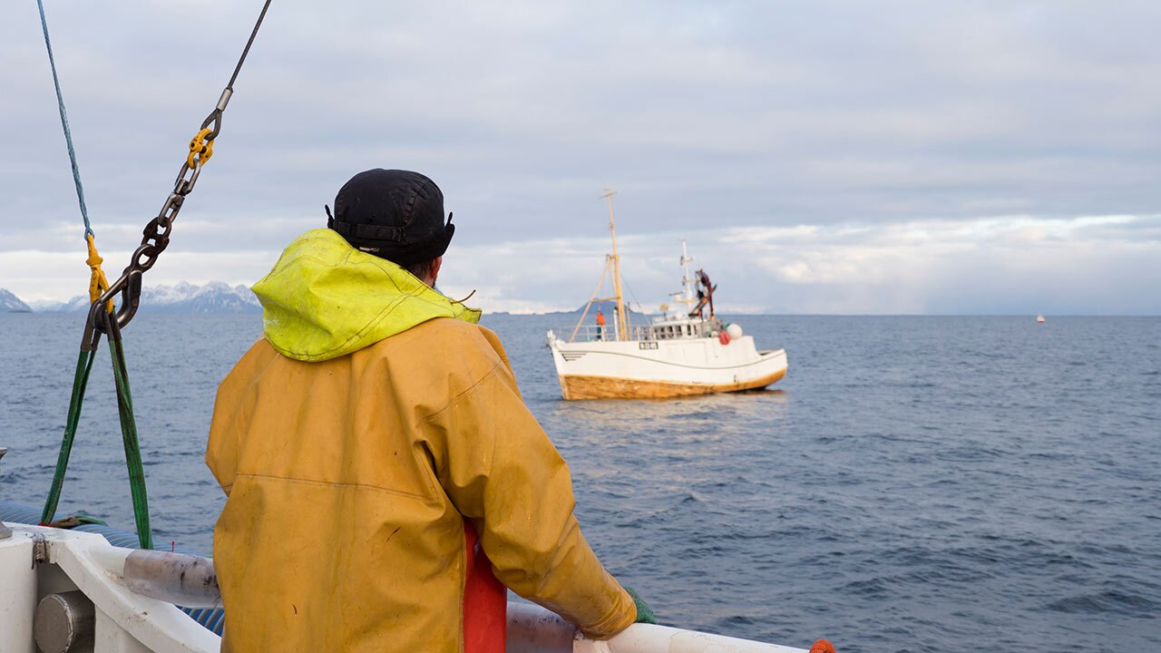 Sustainable Cod | Norwegian Seafood Council